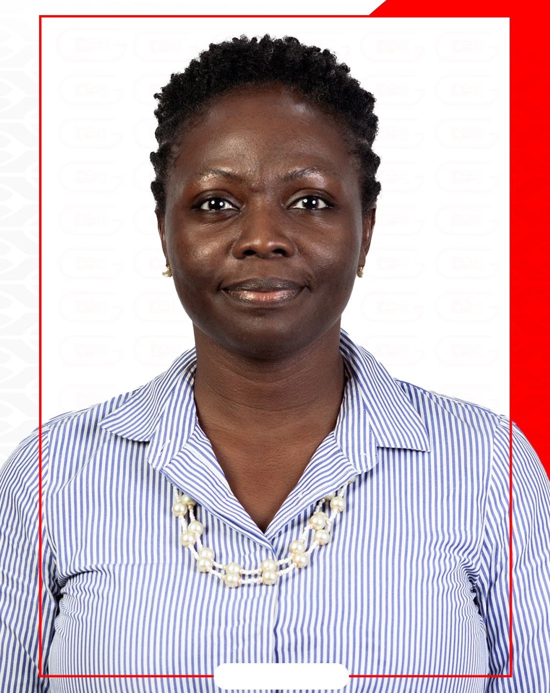 Instructional Design Team | Elearning, KNUST